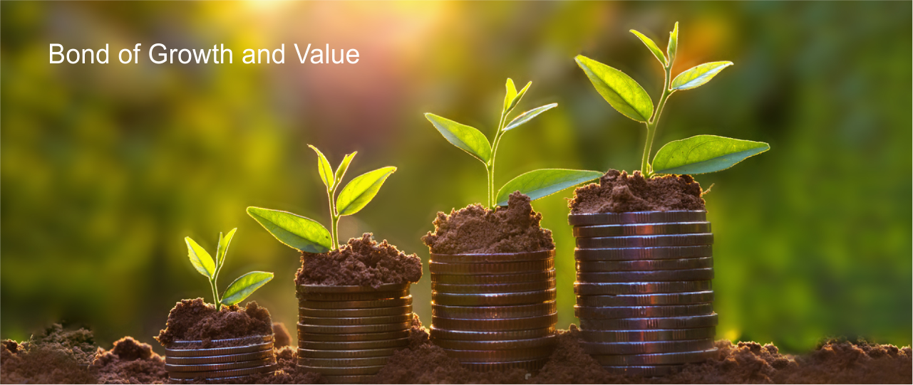 Other Financial Information - Gujarat Alkalies and Chemicals Limited